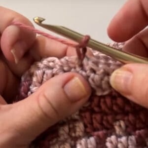 How to Do the Crab Stitch - Reverse Single Crochet Tutorial - Juniper ...