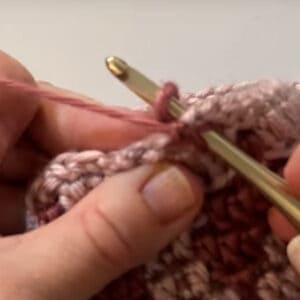 How to Do the Crab Stitch - Reverse Single Crochet Tutorial - Juniper ...